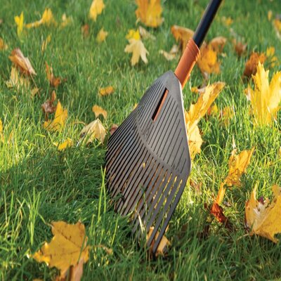 How To Scarify A Lawn? Useful Tips for You